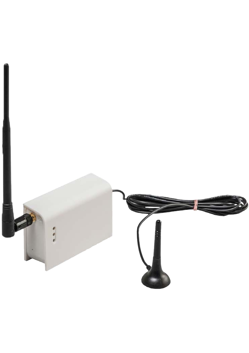 CR100 4G ANIG - Birdz